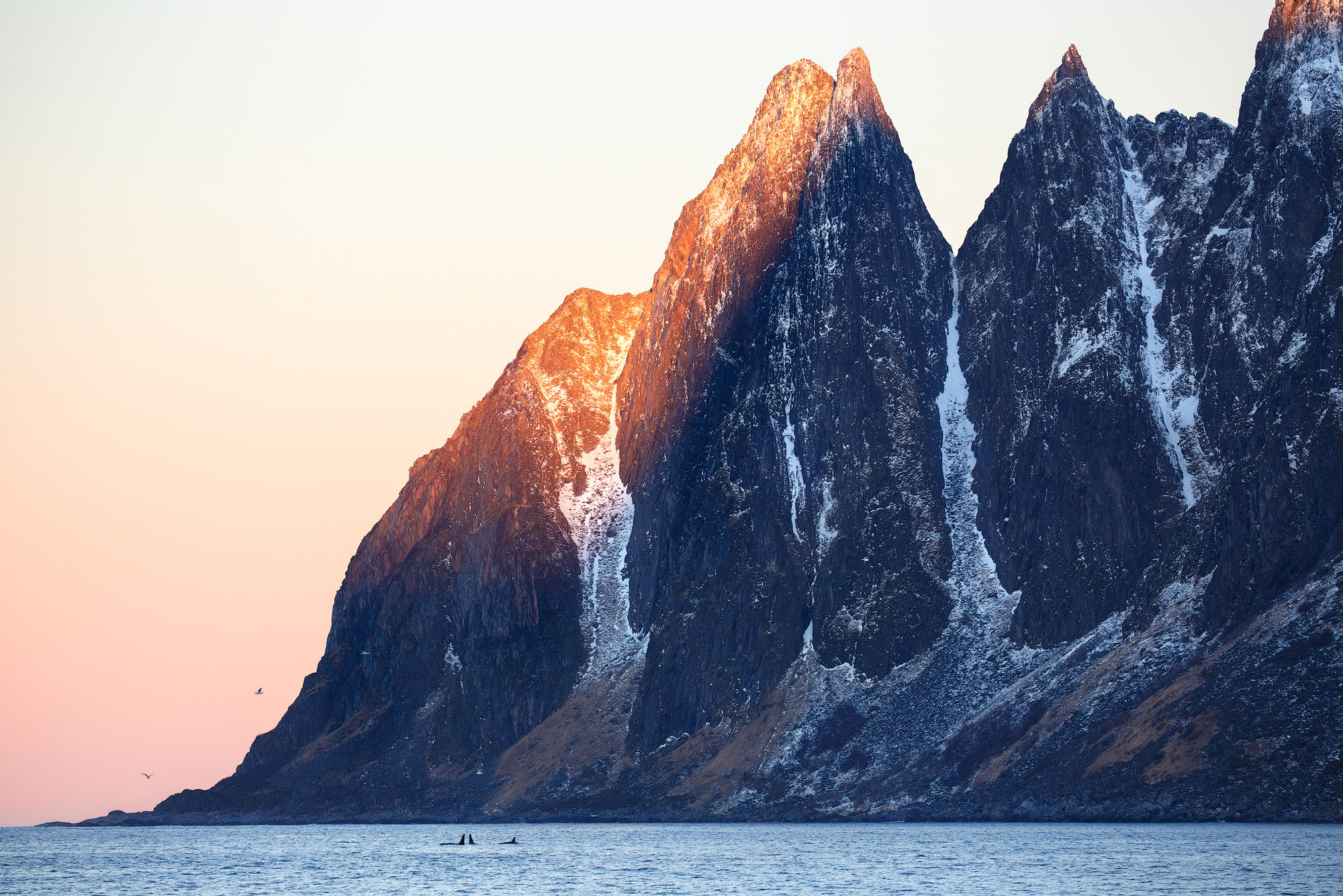 Arctic Norway | Photography Portfolio | Andy Farrer
