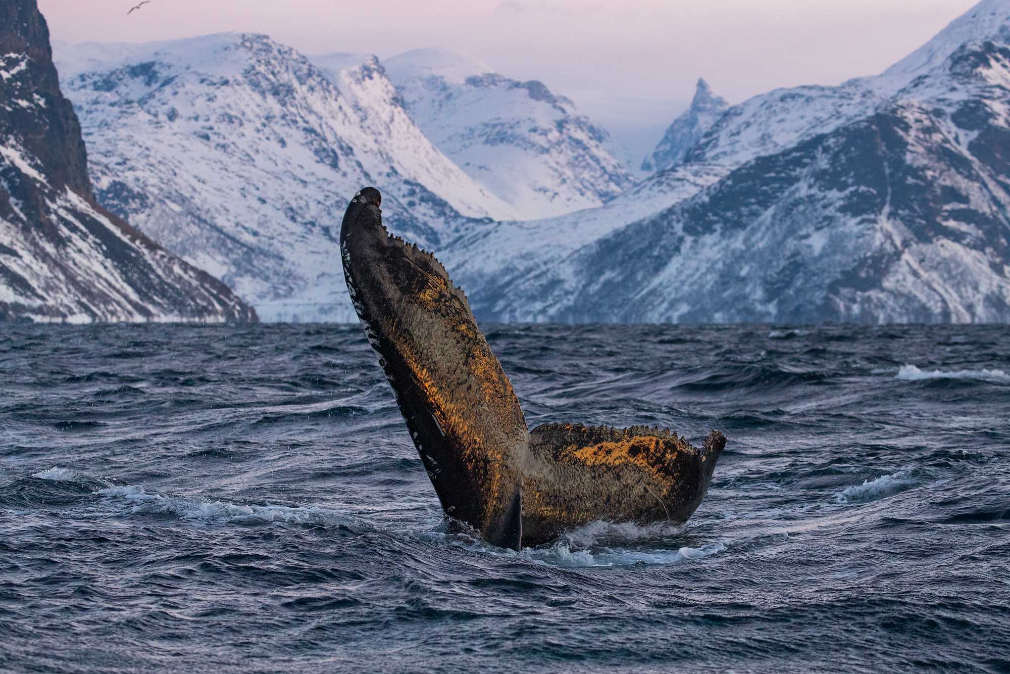 Portfolio by Andy Farrer - Landscape Photographer