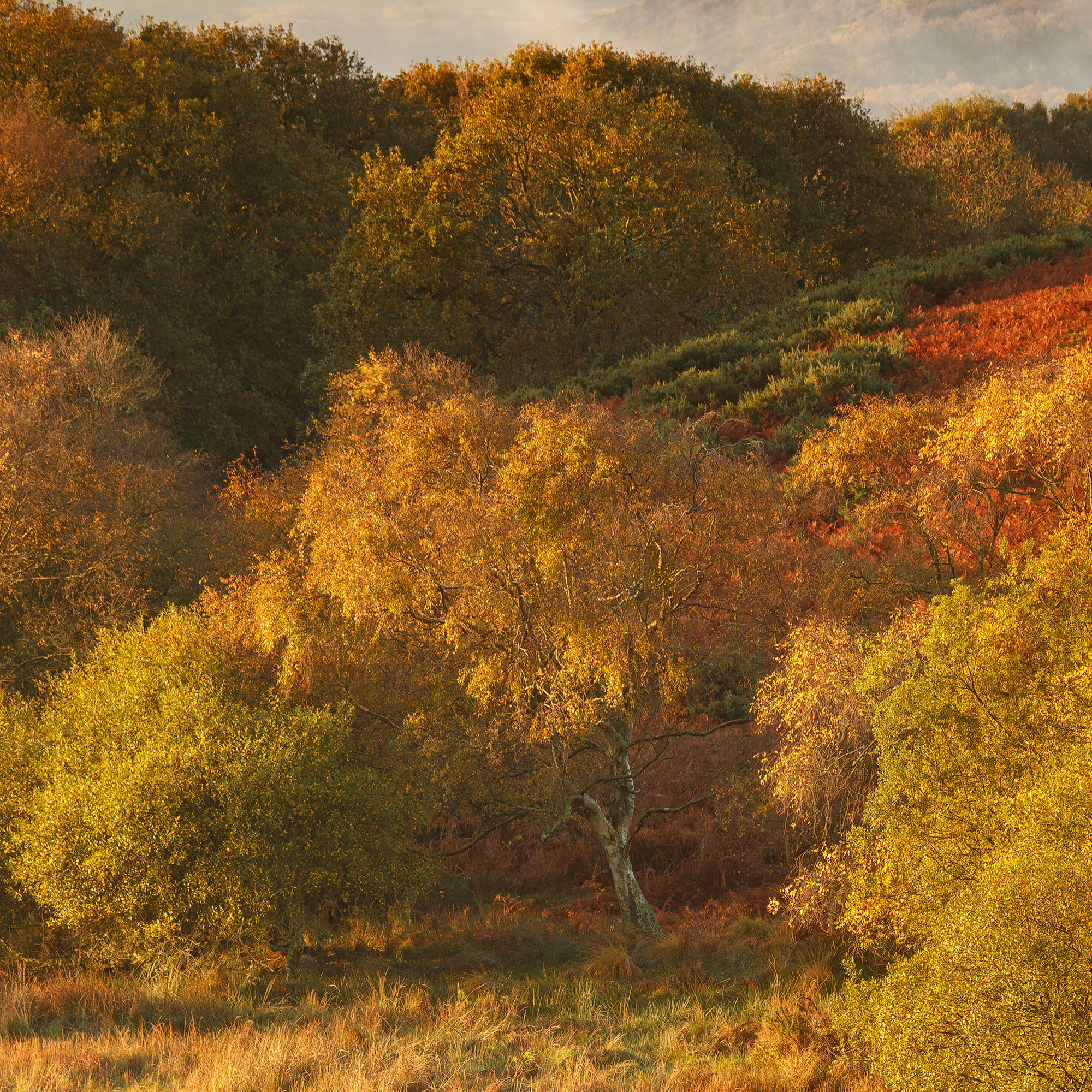 Portfolio by Andy Farrer - Landscape Photographer