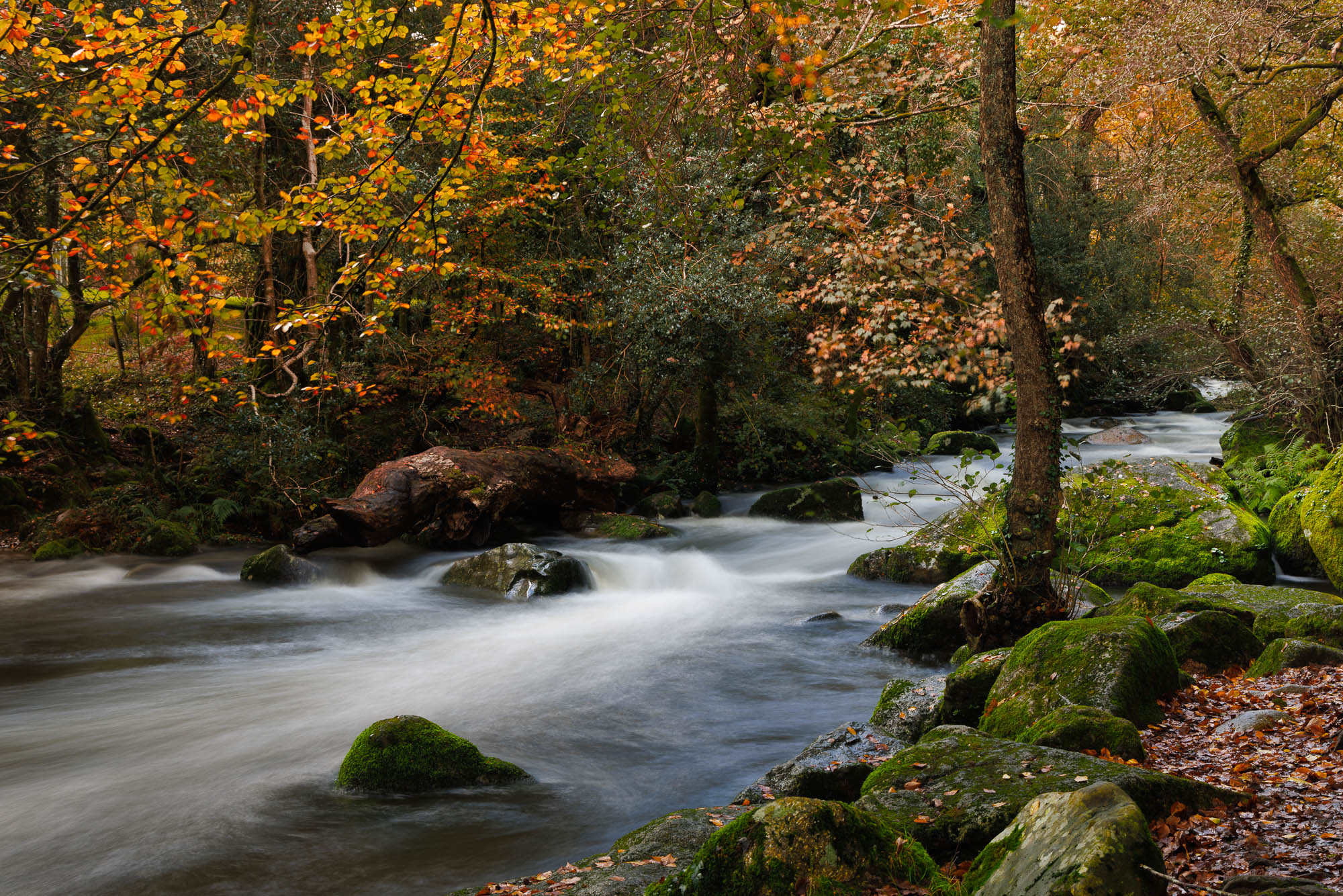 Autumn Inspiration | Photography Portfolio | Andy Farrer