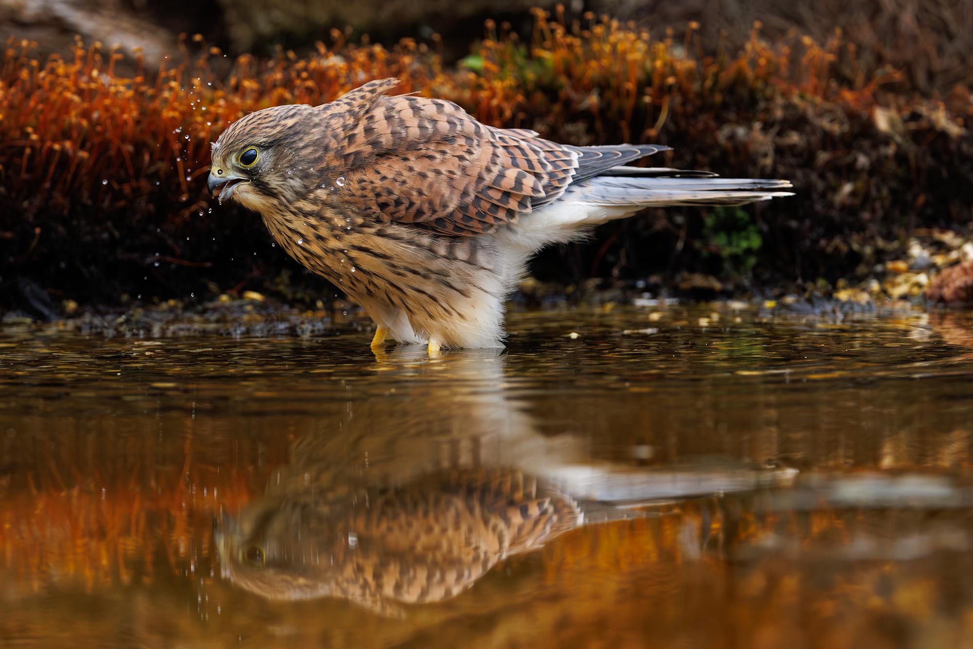 Portfolio by Andy Farrer - Landscape Photographer